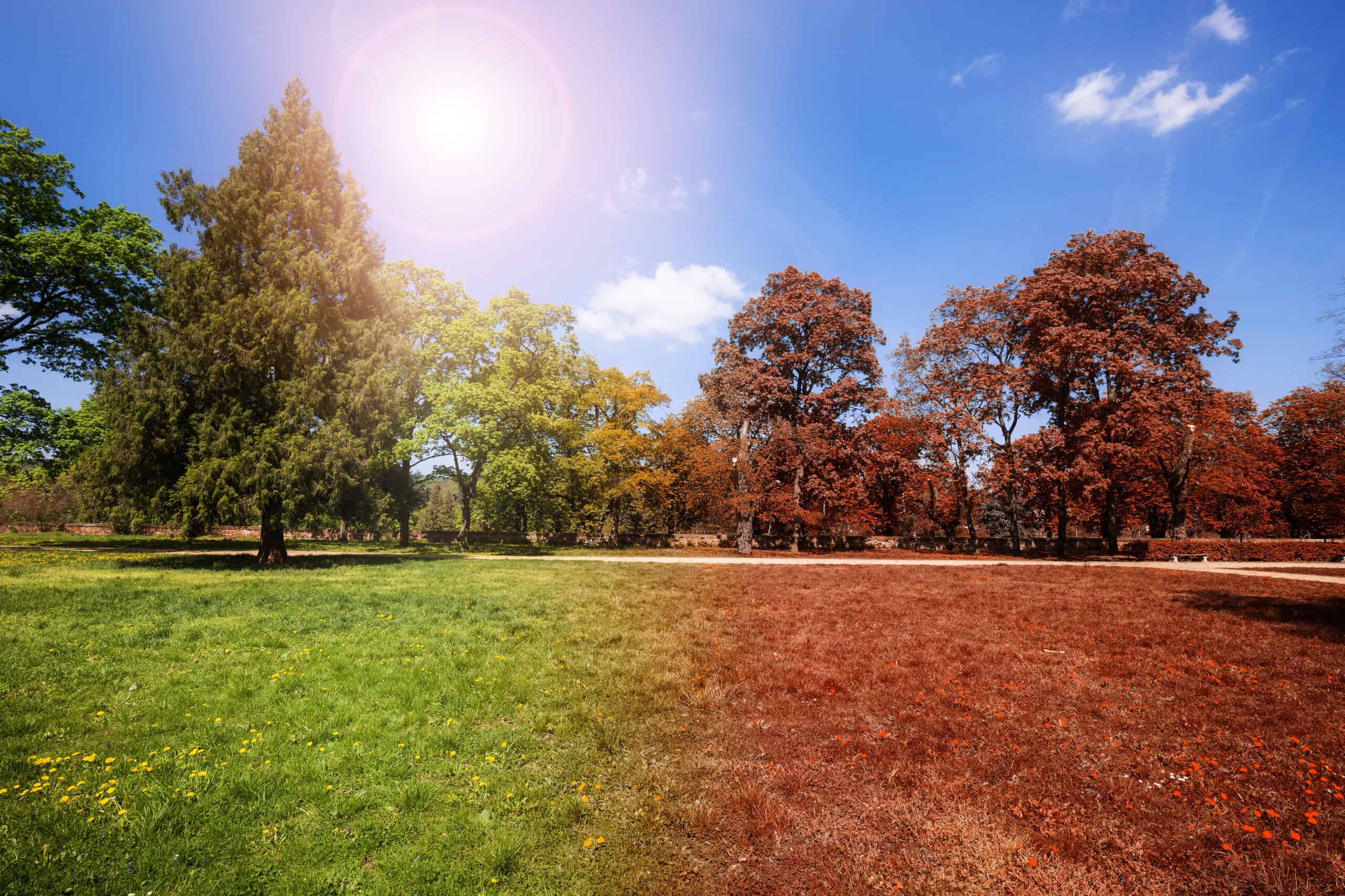 The Seasonal Shift from Summer to Autumn in the Property Market
